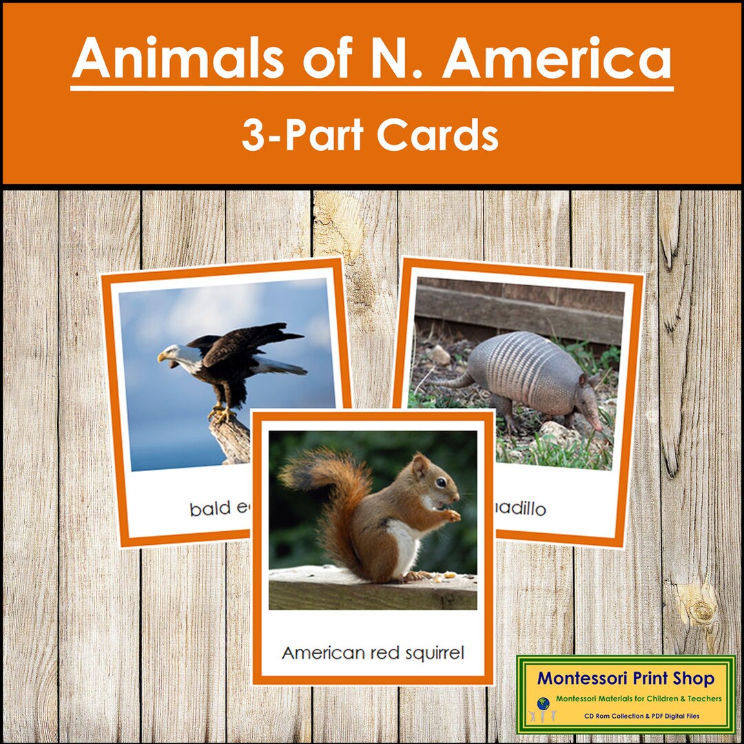 Montessori Animals of North America 3-part Cards (color-coded ...
