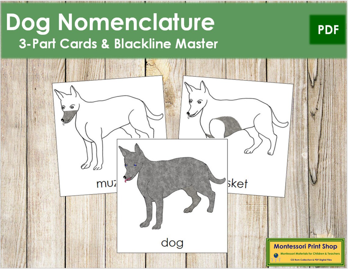 Parts of a Dog Nomenclature 3-part Cards Montessori Zoology - Etsy