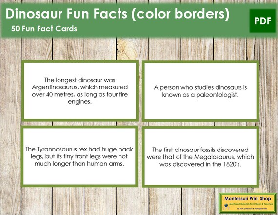 Dinosaur Fun Facts color Montessori Science & Zoology | Etsy