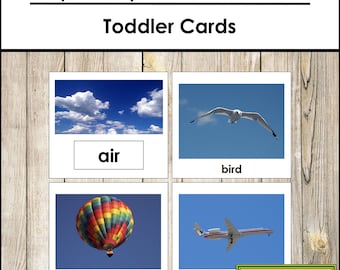 Land/air/water Montessori Sorting Cards - Etsy