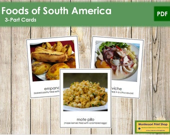 Flags of South America Montessori Continent Cards | Etsy