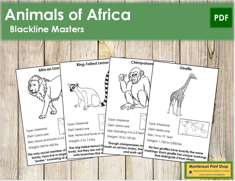 Animals of Africa Facts & Picture Cards blackline Masters - Etsy