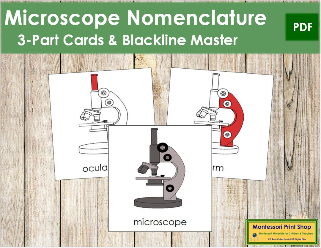 Parts of a Microscope Nomenclature 3-part Cards Science - Etsy