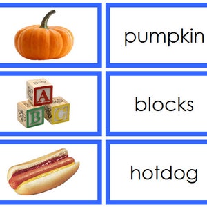 Montessori Blue Phonetic Language Series Bundle [PHOTOS] - Primary ...