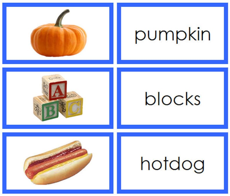 Montessori Blue Phonetic Language Series Bundle [PHOTOS] - Primary ...