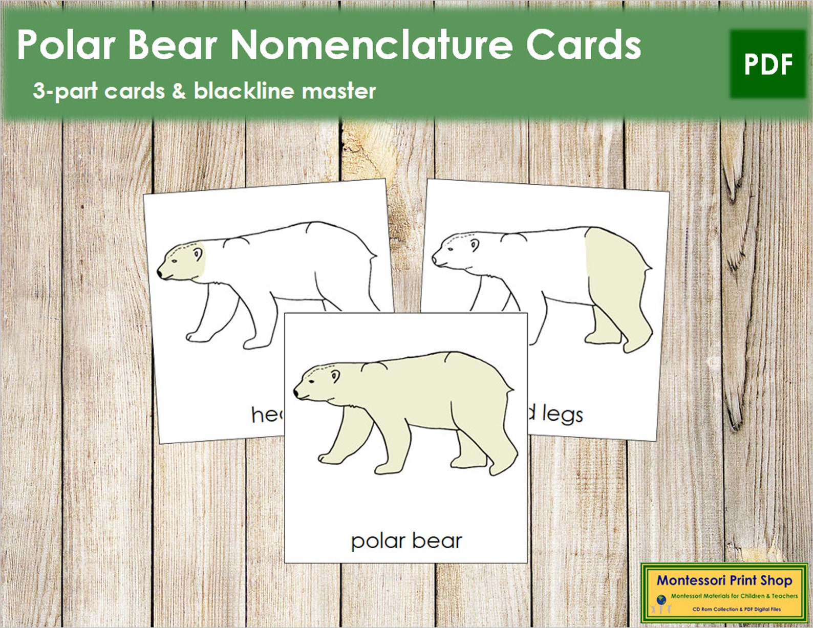 Parts of a Polar Bear Nomenclature 3-part Cards Montessori | Etsy