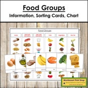 Food Group Sorting Game Preschool Homeschool Activity Busy - Etsy Canada