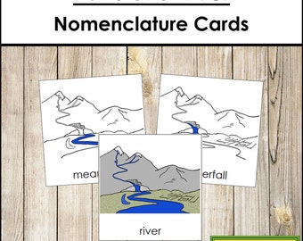 Montessori Life Cycle of A Salmon 5 Parts Cards (Download Now) - Etsy