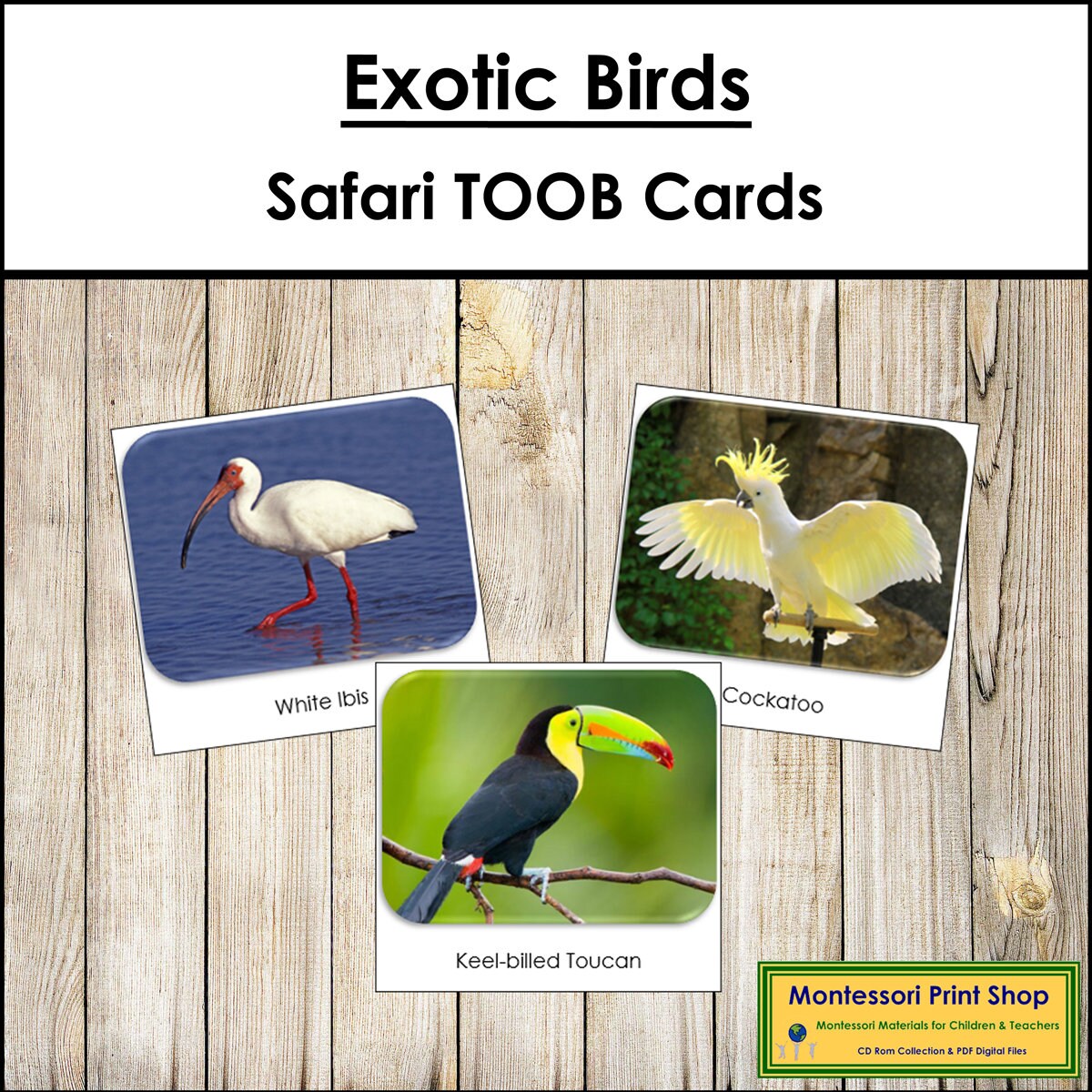 Exotic Birds Safari TOOB Cards Printable Montessori Cards Digital ...