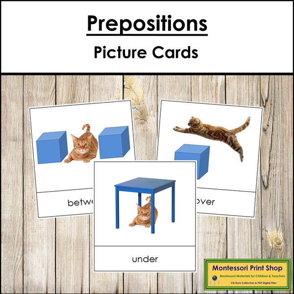 WH Questions Task Cards for Receptive Identification Autism Activities ...