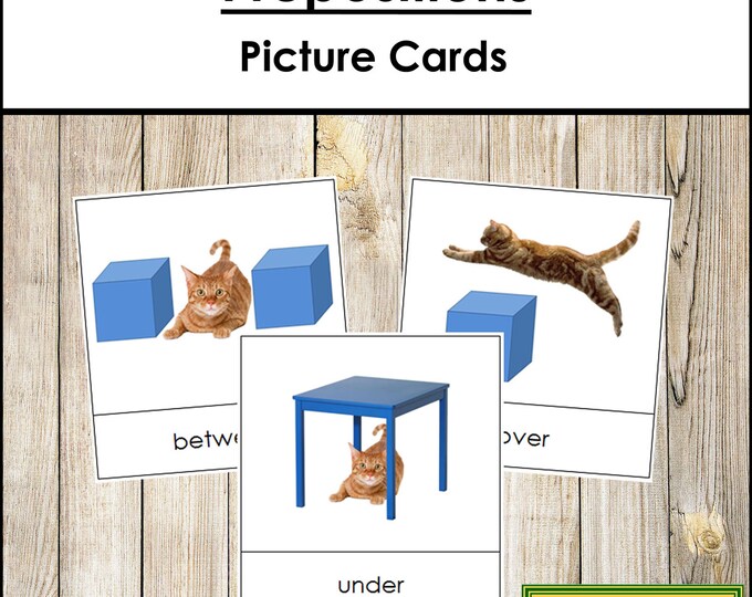 Parts of a Flower Montessori 3 Part Cards Bundle - Etsy