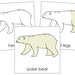 Parts of a Polar Bear Nomenclature 3-part Cards & Blackline Master ...