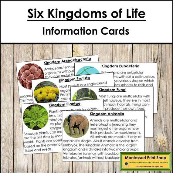 Six Kingdoms Of Life