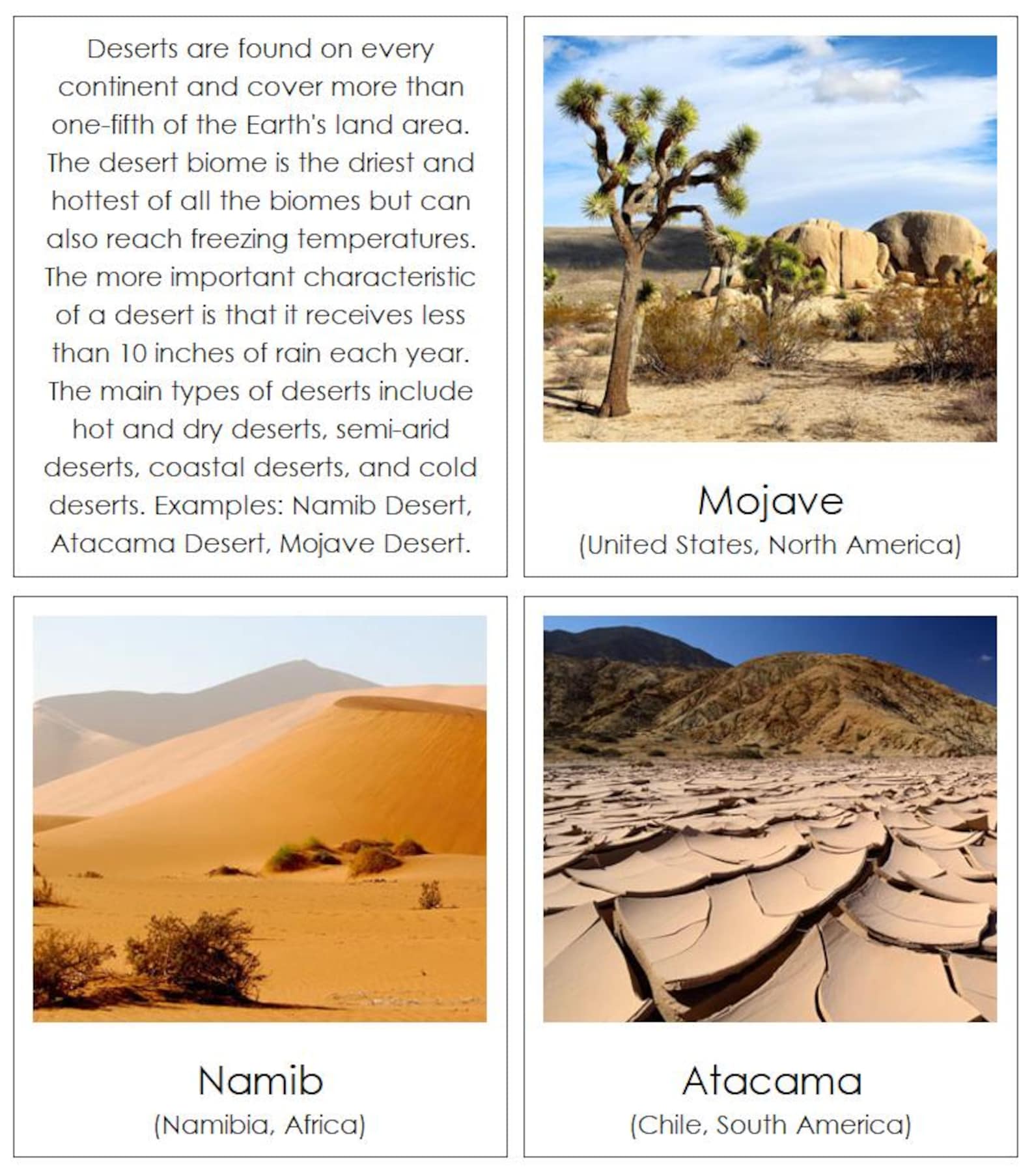 Biomes of the World Sorting Cards, Chart and Information - Montessori ...