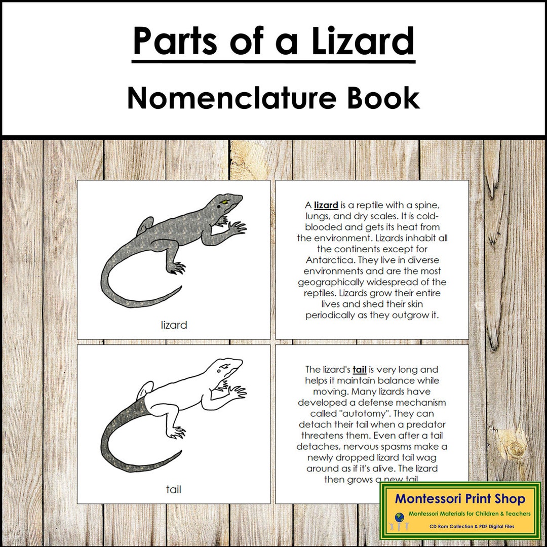 Parts of a Lizard Nomenclature Book - Montessori Zoology - Printable ...