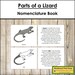 Parts of a Lizard Nomenclature Book - Montessori Zoology - Printable ...