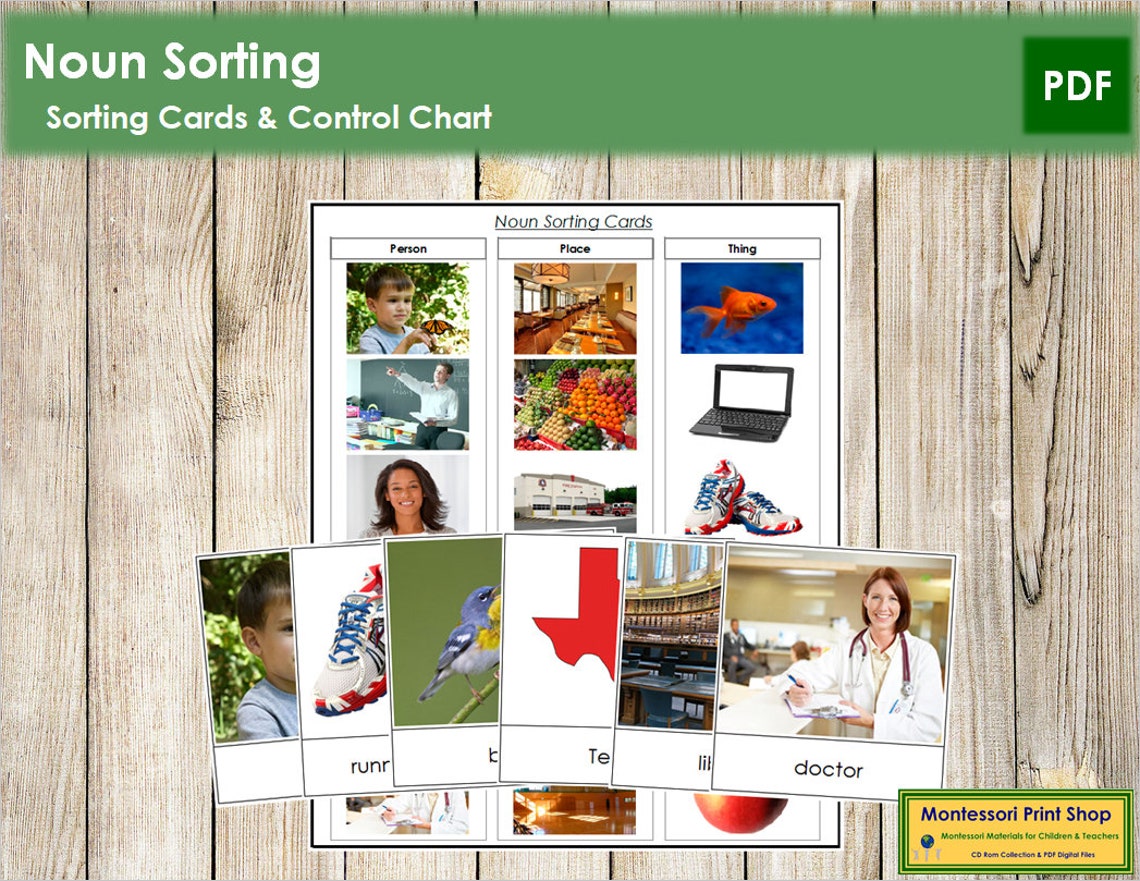 Noun Sorting Cards & Control Chart Montessori Grammar | Etsy