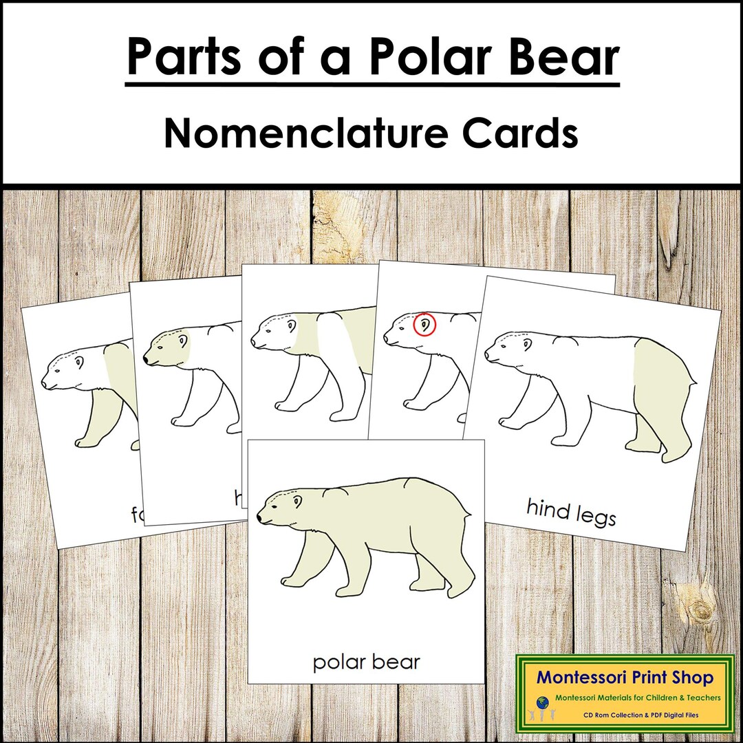 Parts of a Polar Bear Nomenclature 3-part Cards & Blackline Master ...