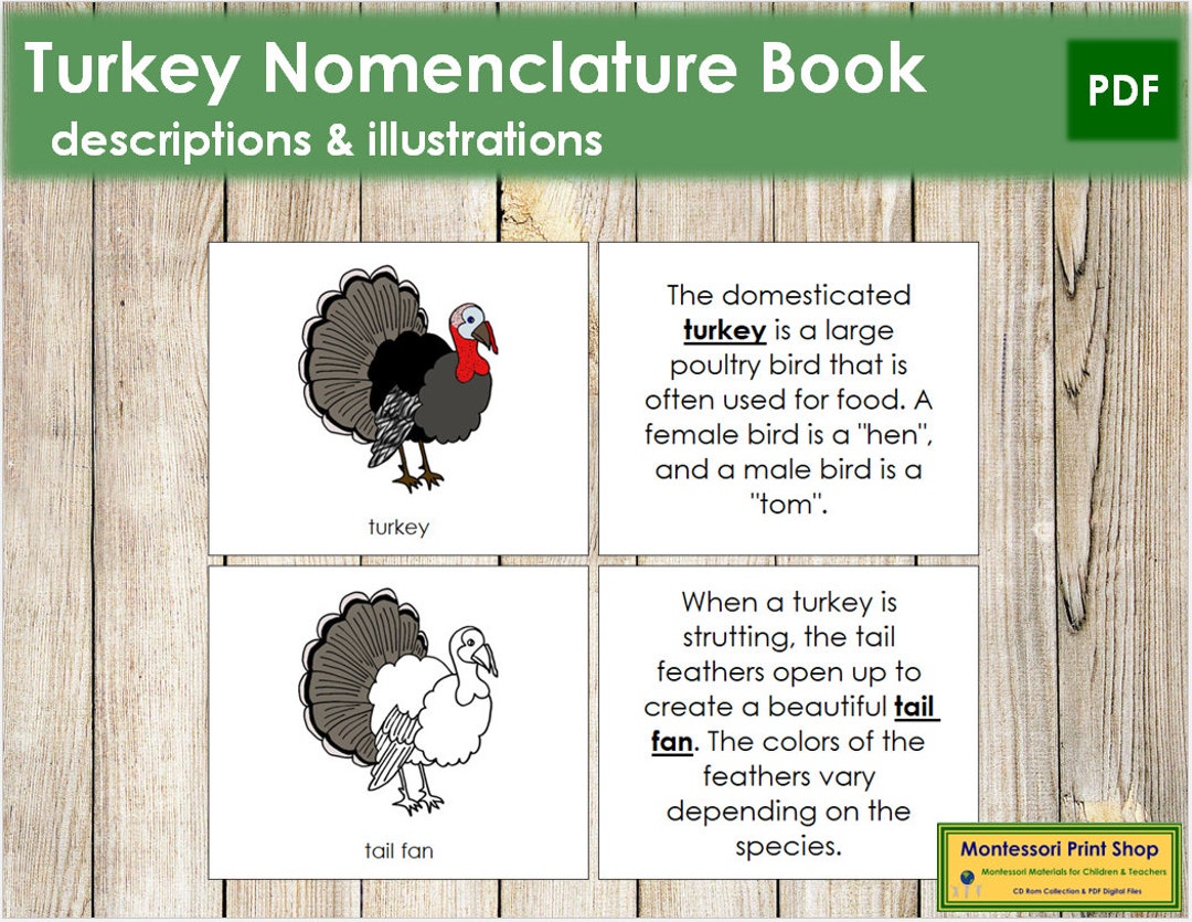 Parts of a Turkey Nomenclature Book Montessori Zoology - Etsy Finland