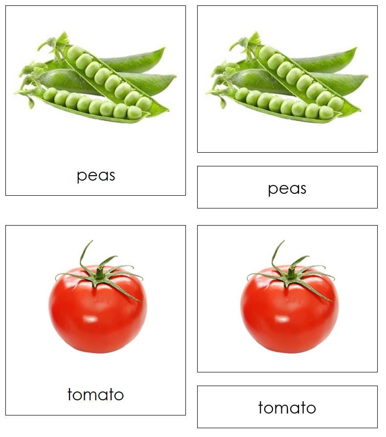 Montessori Plants We Eat Sorting Cards & Chart - Montessori Botany ...