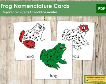 Parts of a Turtle Nomenclature 3-part Cards Montessori | Etsy