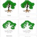 Parts of a Tree Nomenclature 3-part Cards Montessori Botany Printable ...