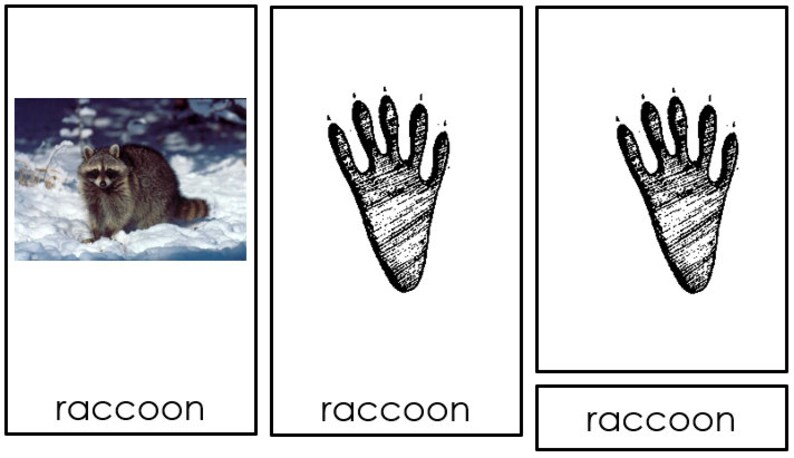 Animal Tracks Matching Cards [footprints] - Montessori Zoology Activity ...