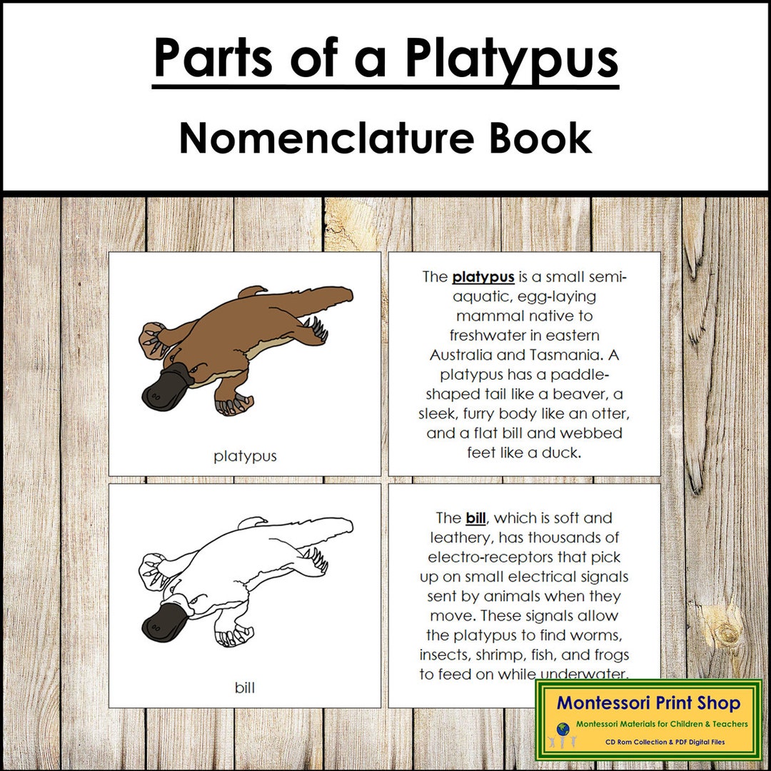 Parts of a Platypus Nomenclature Book - Montessori Zoology (digital ...
