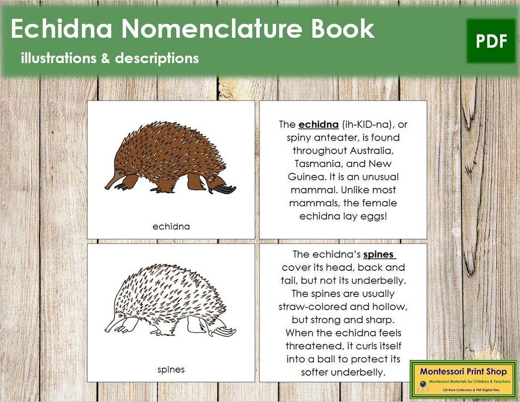 Parts of an Echidna Nomenclature Book Montessori Zoology | Etsy