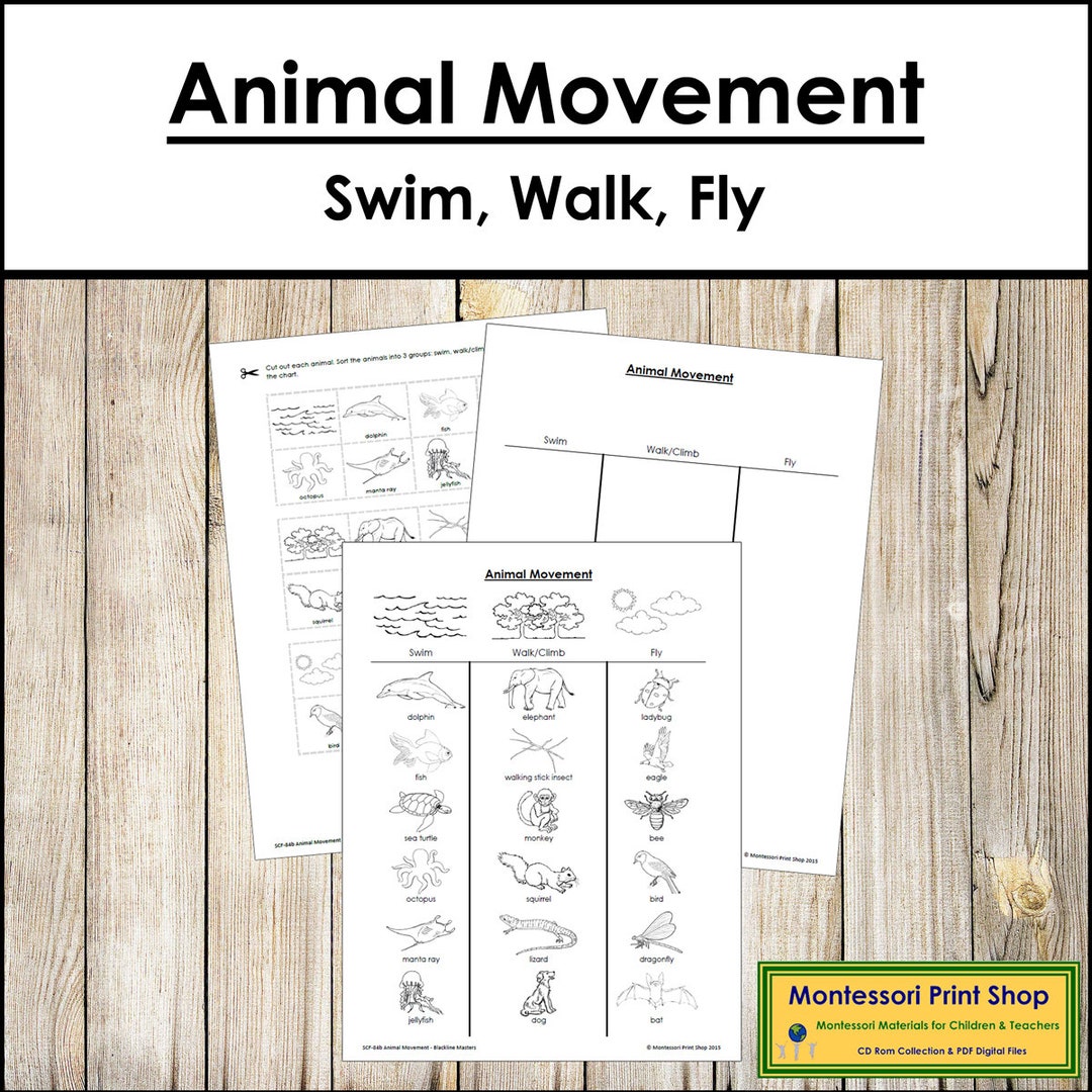 Animal Movement Sorting Cut & Paste [blackline Masters] - Montessori ...