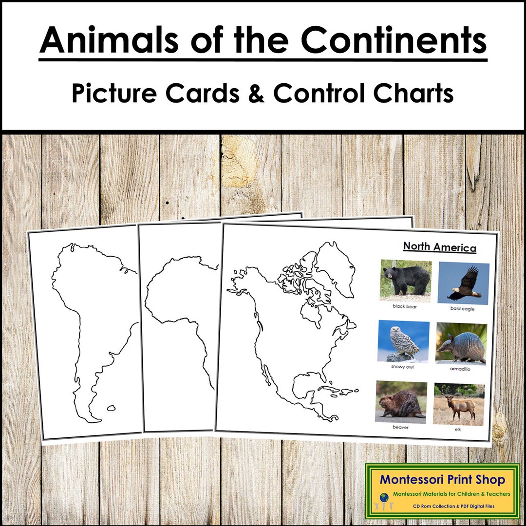 Animals of the Continents Set 2 - Montessori Geography & Zoology ...