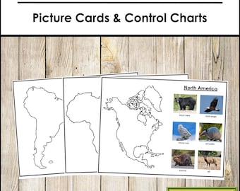 Animal Continents Activity Sheets - Etsy Canada
