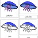 Parts of a Jellyfish Nomenclature 3-part Cards Montessori Zoology ...