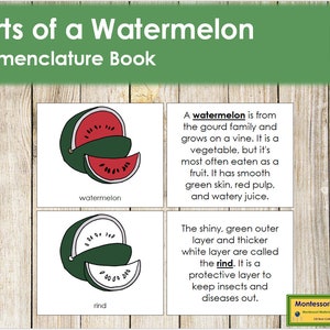 Parts of a Watermelon Nomenclature Book Botany Printable - Etsy Canada