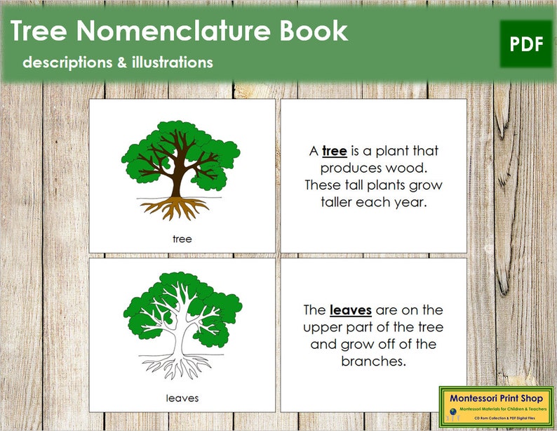 Parts of a Tree Nomenclature Book Montessori Botany - Etsy