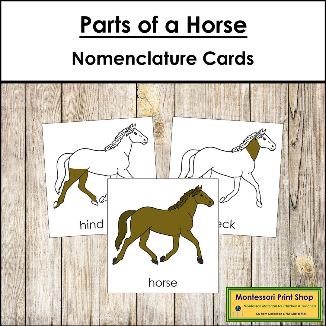 Parts of a Horse Nomenclature 3-part Cards - Montessori Zoology ...