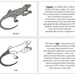 Parts of a Lizard Nomenclature Book - Montessori Zoology - Printable ...