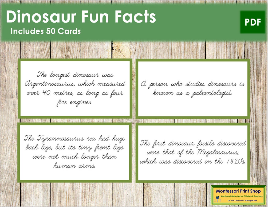 Dinosaur Fun Facts cursive Montessori Science & Zoology - Etsy
