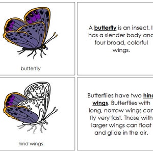 Parts of a Butterfly Nomenclature Book - Montessori Zoology (digital ...