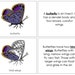 Parts of a Butterfly Nomenclature Book - Montessori Zoology - Printable ...