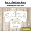 Parts of a Stem Nomenclature Book Montessori Botany Printable ...