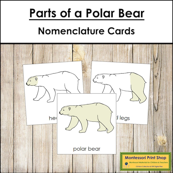 Polar Bear Card - Etsy