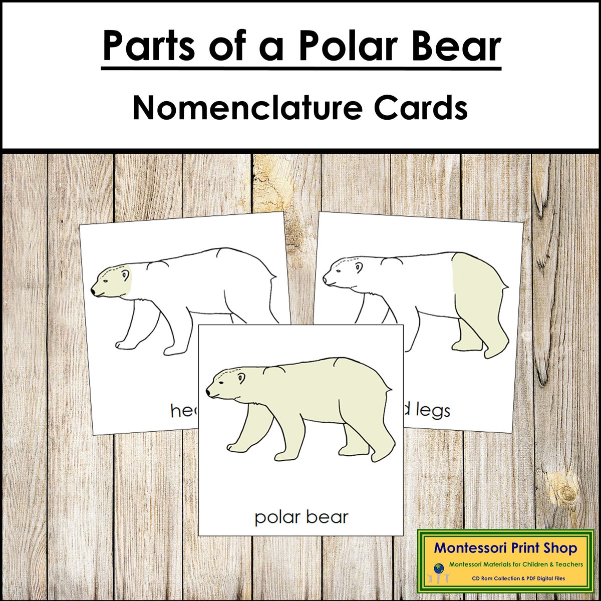 Parts of a Polar Bear Nomenclature 3-part Cards Montessori Zoology ...