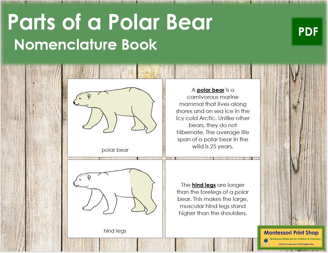 Parts of a Polar Bear Nomenclature Book Montessori Zoology - Etsy UK