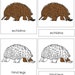 Parts of an Echidna Nomenclature 3-part Cards Montessori Zoology ...