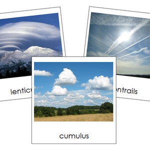 Types of Clouds Nomenclature 3-part Cards - Science - Printable ...