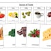 Sense of Taste Sorting Cards & Control Chart - Science - Printable ...