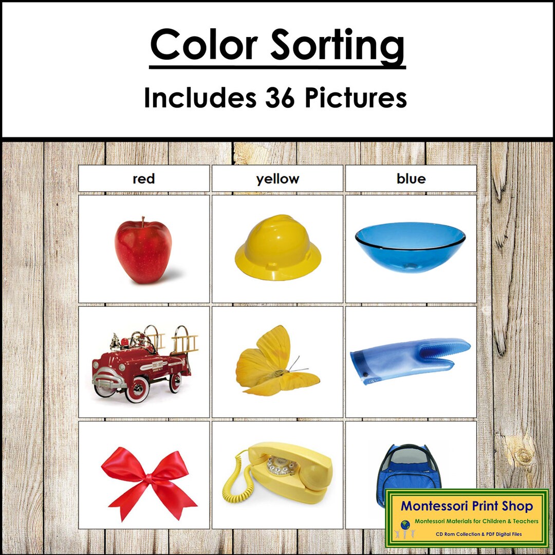 Color Sorting Cards - Preschool - Printable Montessori Cards - Digital ...