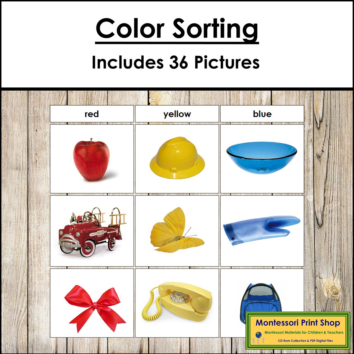 Color Sorting Cards Preschool Printable Montessori Cards Digital ...