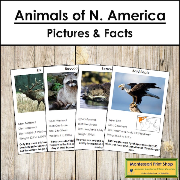 Montessori Animals of North America - Etsy